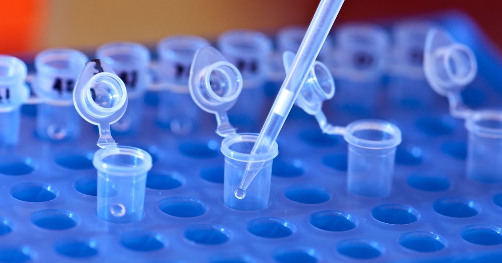 Ten Giga Bio : 比 real-time PCR 還要更快速？！——NASBA Technology