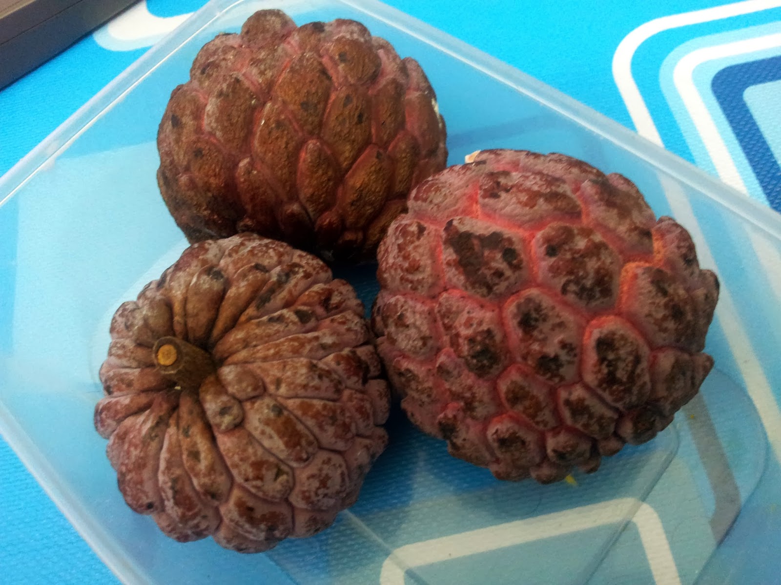 Syazwana Jamal: First time makan buah nona.