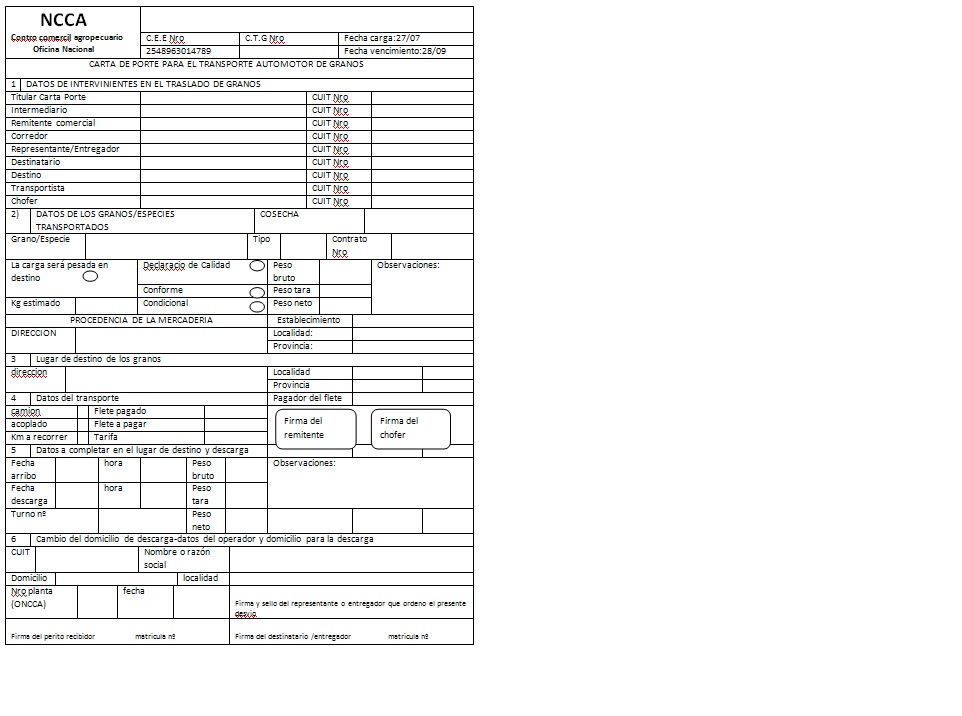 Camila Ruiz : carta porte