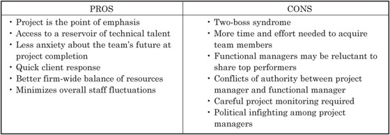 Figure 2-4 MatrixOrganization Pros and Cons