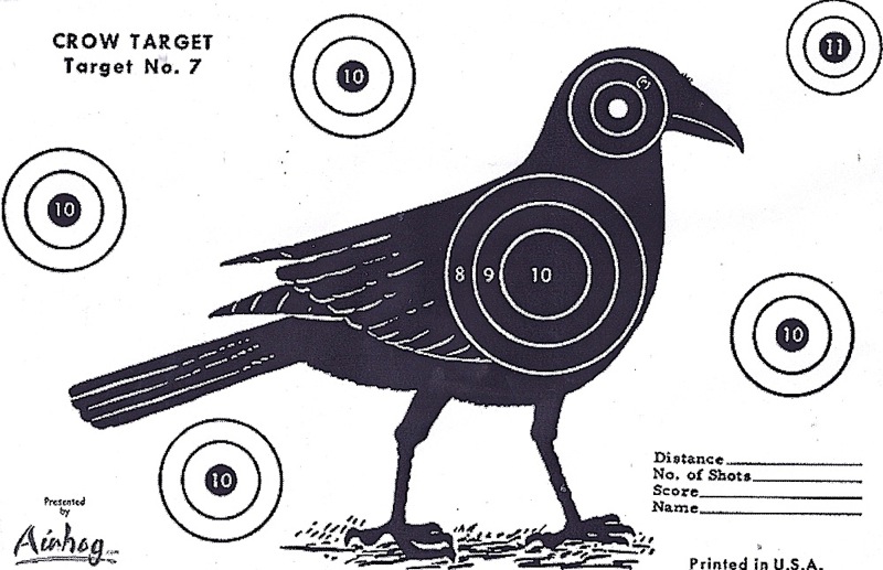A Guide to Birdwatching | The Masculine Principle