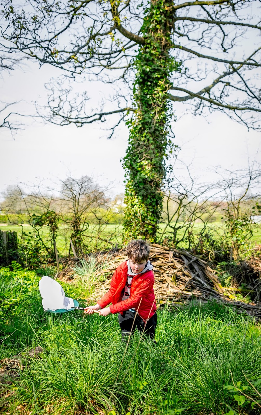 The heritage year: 2019