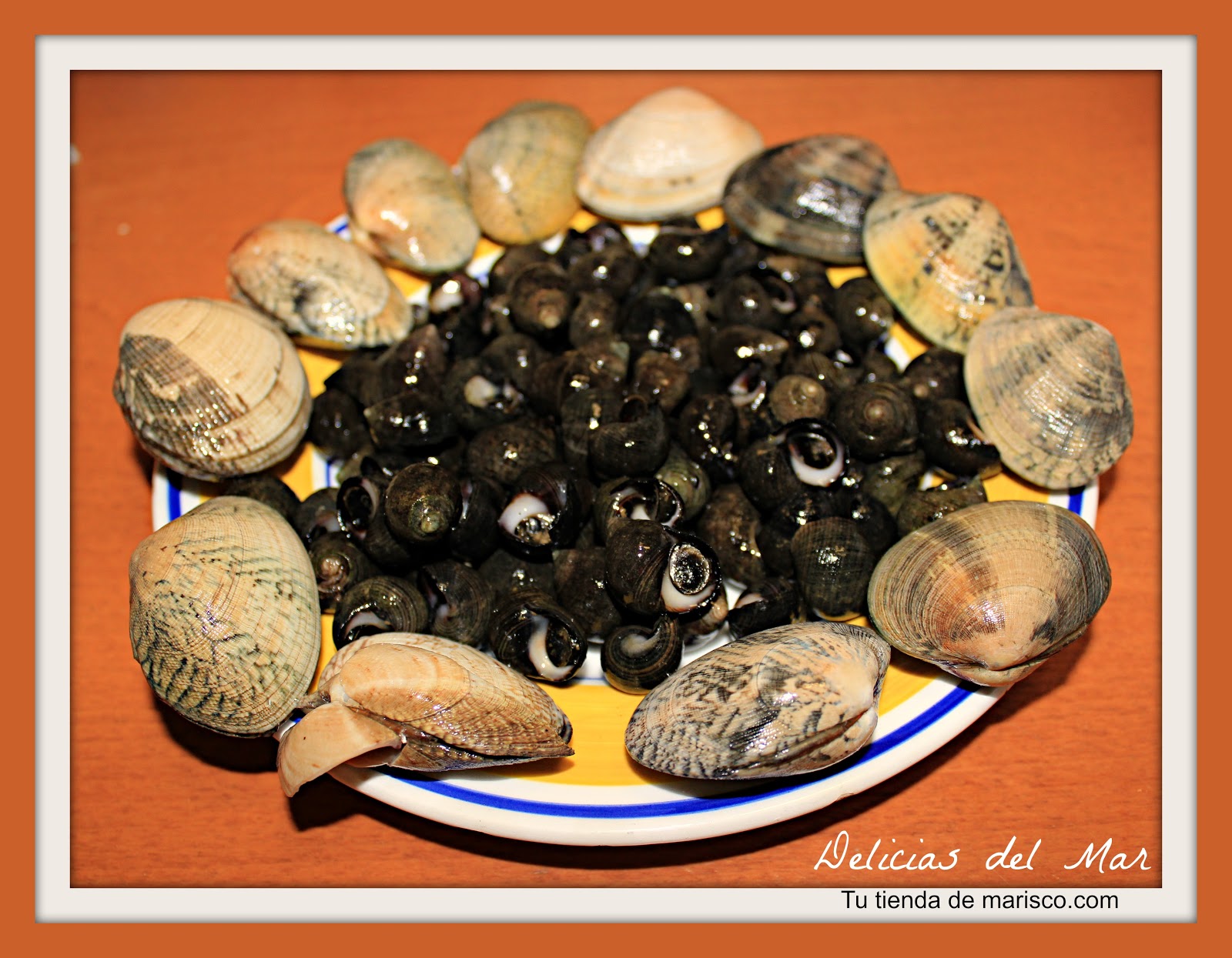 La Cocina Facil: Delicias del Mar ( Tu tienda de marisco.com )