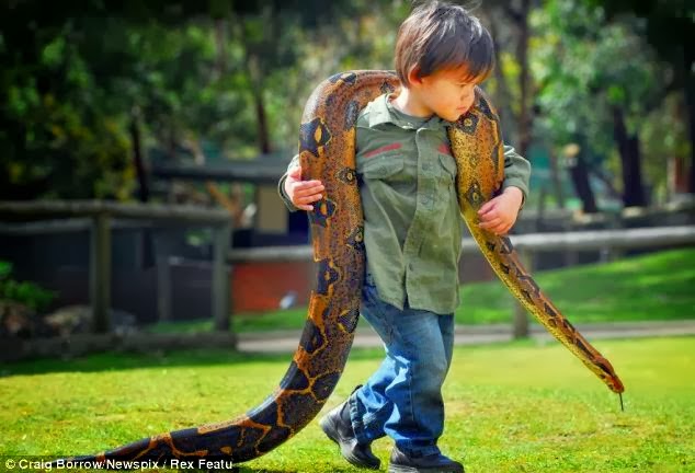 WOW: Meet This 2-year Old Who Loves Playing With Snakes (PHOTO)