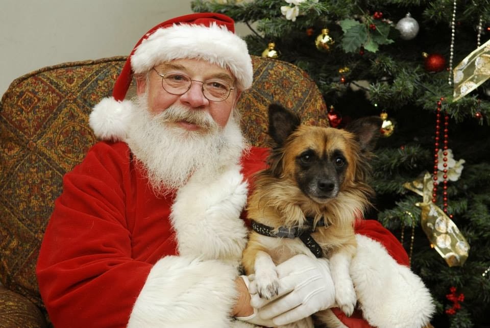 Thinking Pink: Sammy Claus