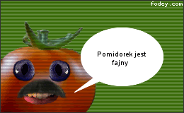 Narzędzia i aplikacje internetowe: Fodey