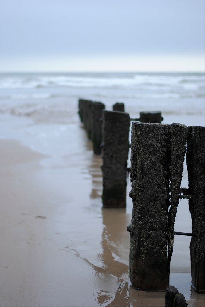 Leading The Eye Photography