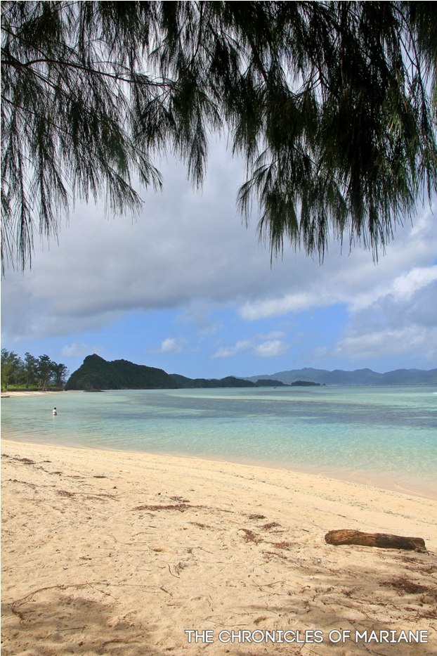 More Superb Sights in Cagayan: Anguib Beach and Crocodile Island | The ...