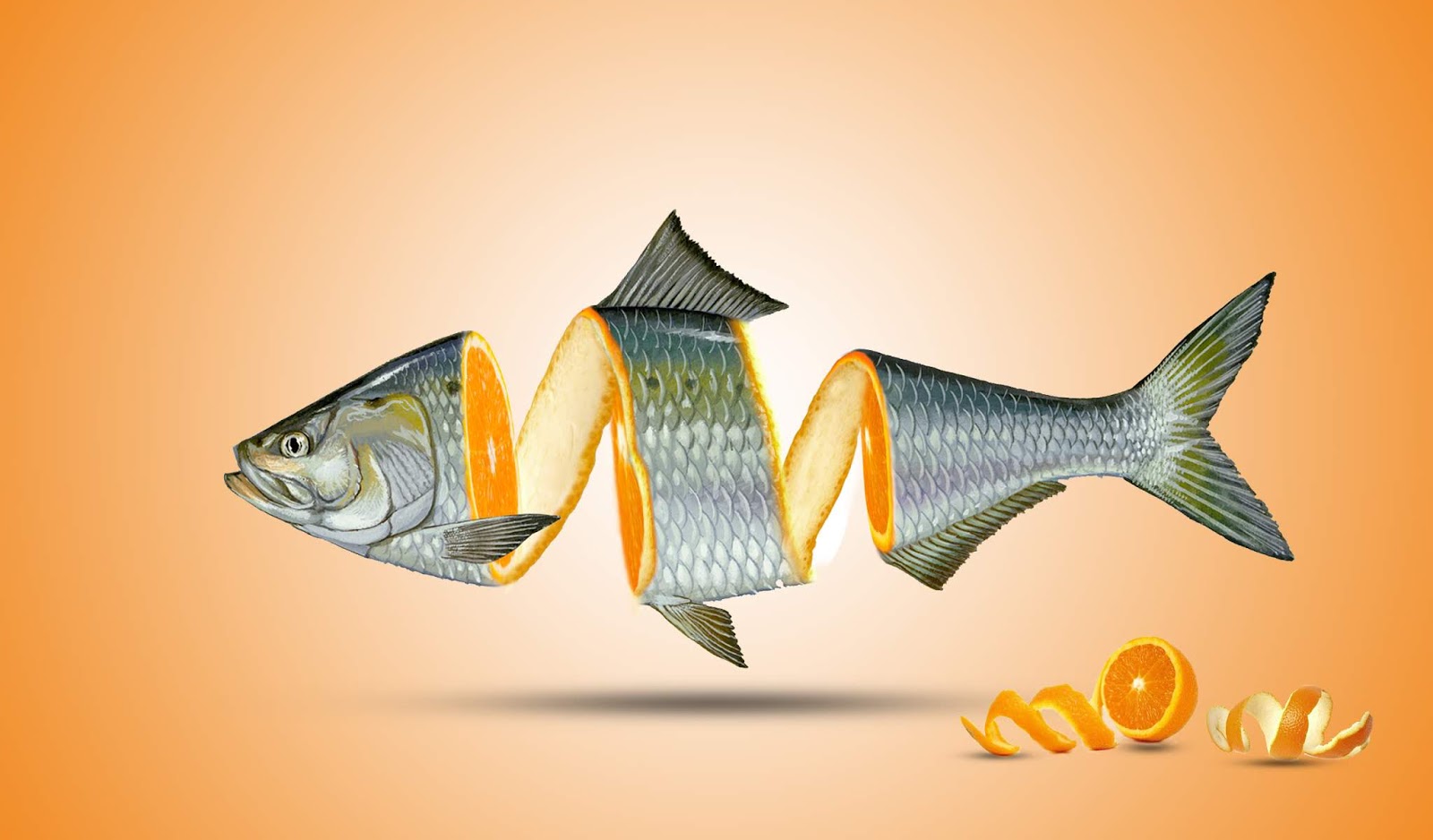 Newer Post Older Post Home