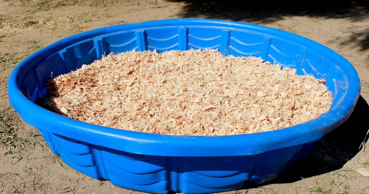 Metzer Farms Duck and Goose Blog: Getting Ready for Your Ducklings and ...