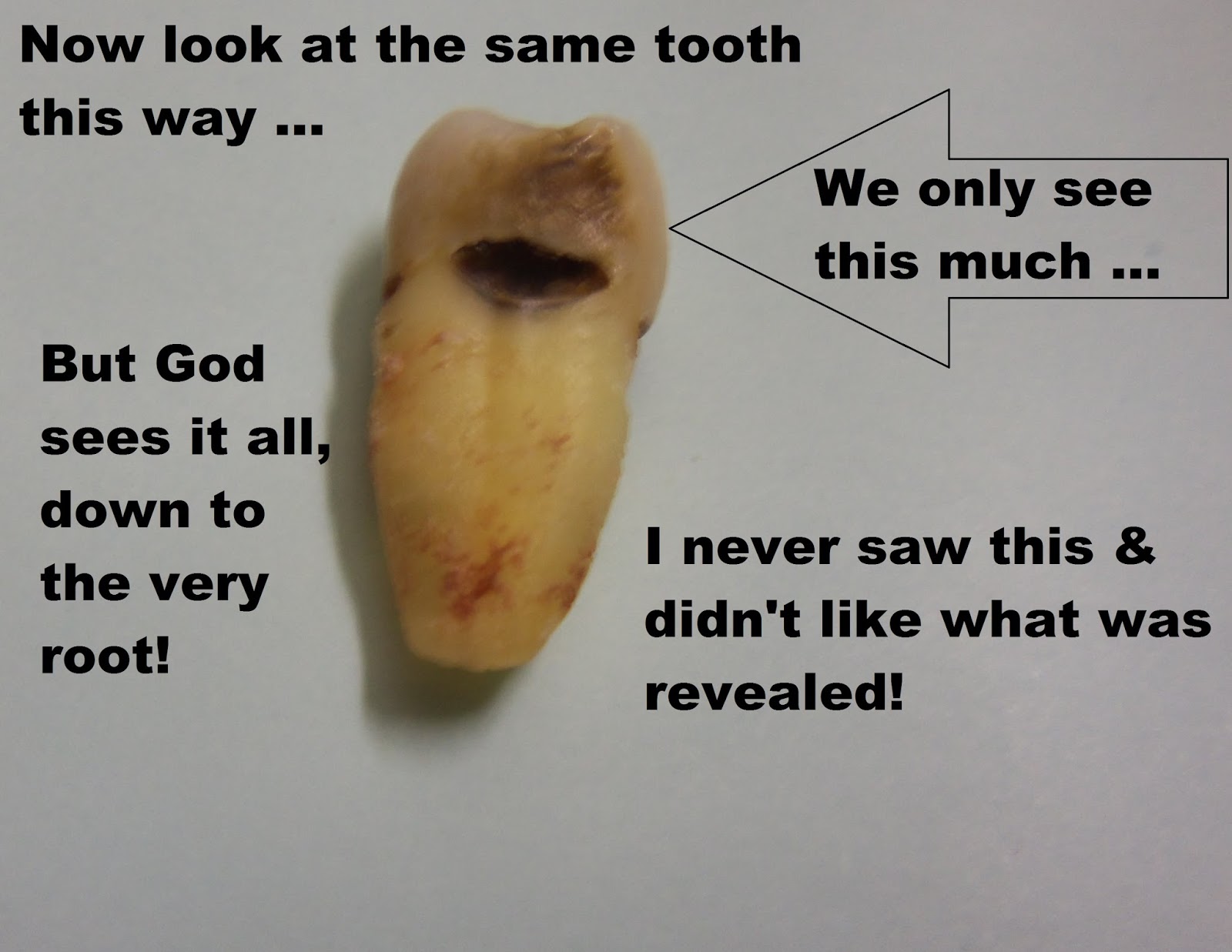 Daily Favor: Getting to the Root