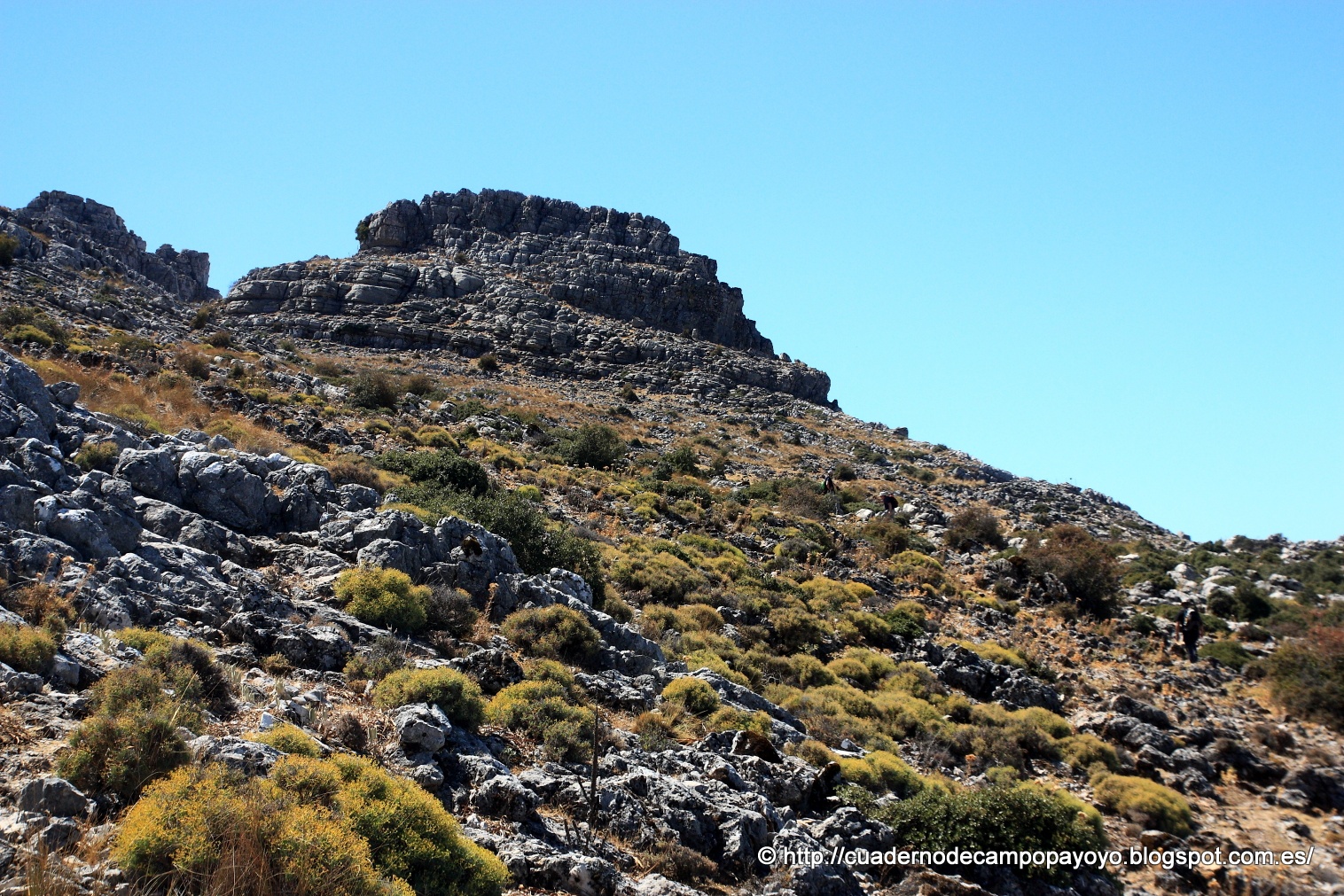 Cuaderno de Campo Payoyo: Las caras del Tunio (Benaoján)