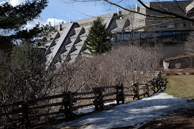 UTSC Pulse: Architecturology