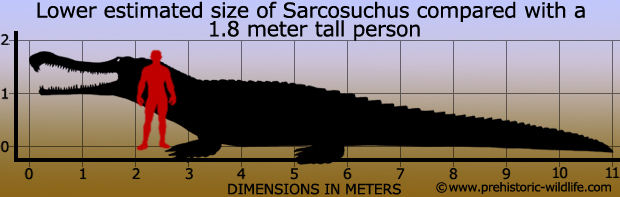Sarcosuchus Size Comparison