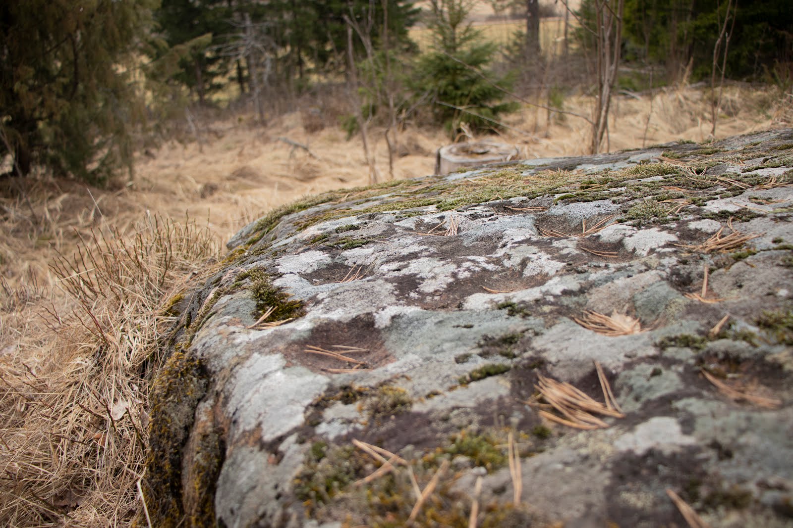 Ancient Finland: Sacred offering grounds