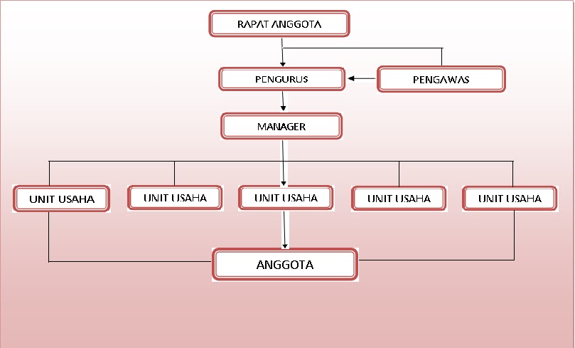 Bagan Struktur Organisasi Koperasi Dan Penjelasannya Berbagi Struktur My Xxx Hot Girl