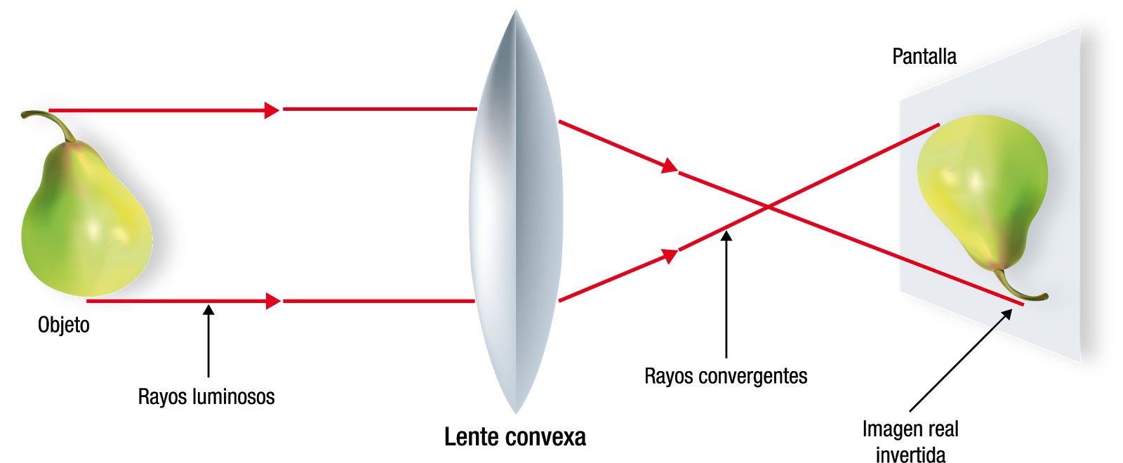 solo foto: El objetivo fotográfico