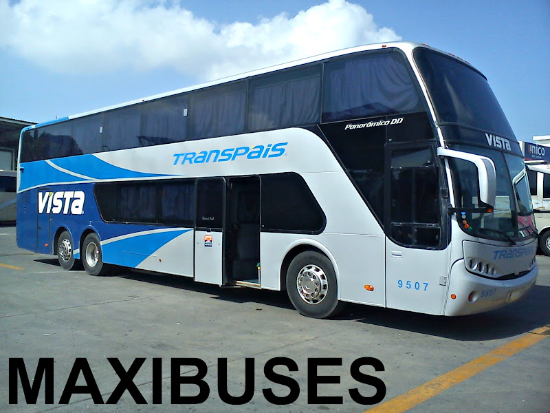 MAXIBUSES: TRANSPAÍS - VISTA