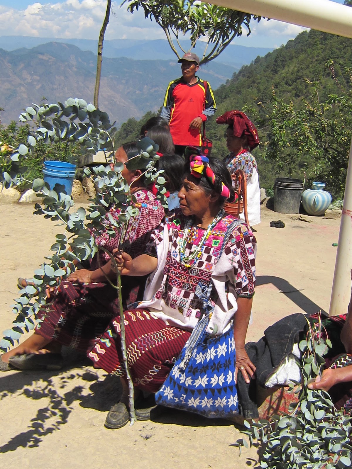 j. siegel designs blog: Mayan Mam Elders