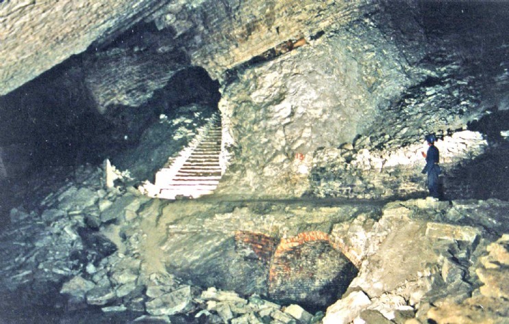 Darley's Daily Dawdle