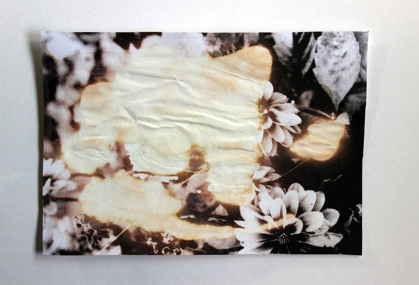 Emily's Photography Blog: Odette England // Damaging A Film Negative ...