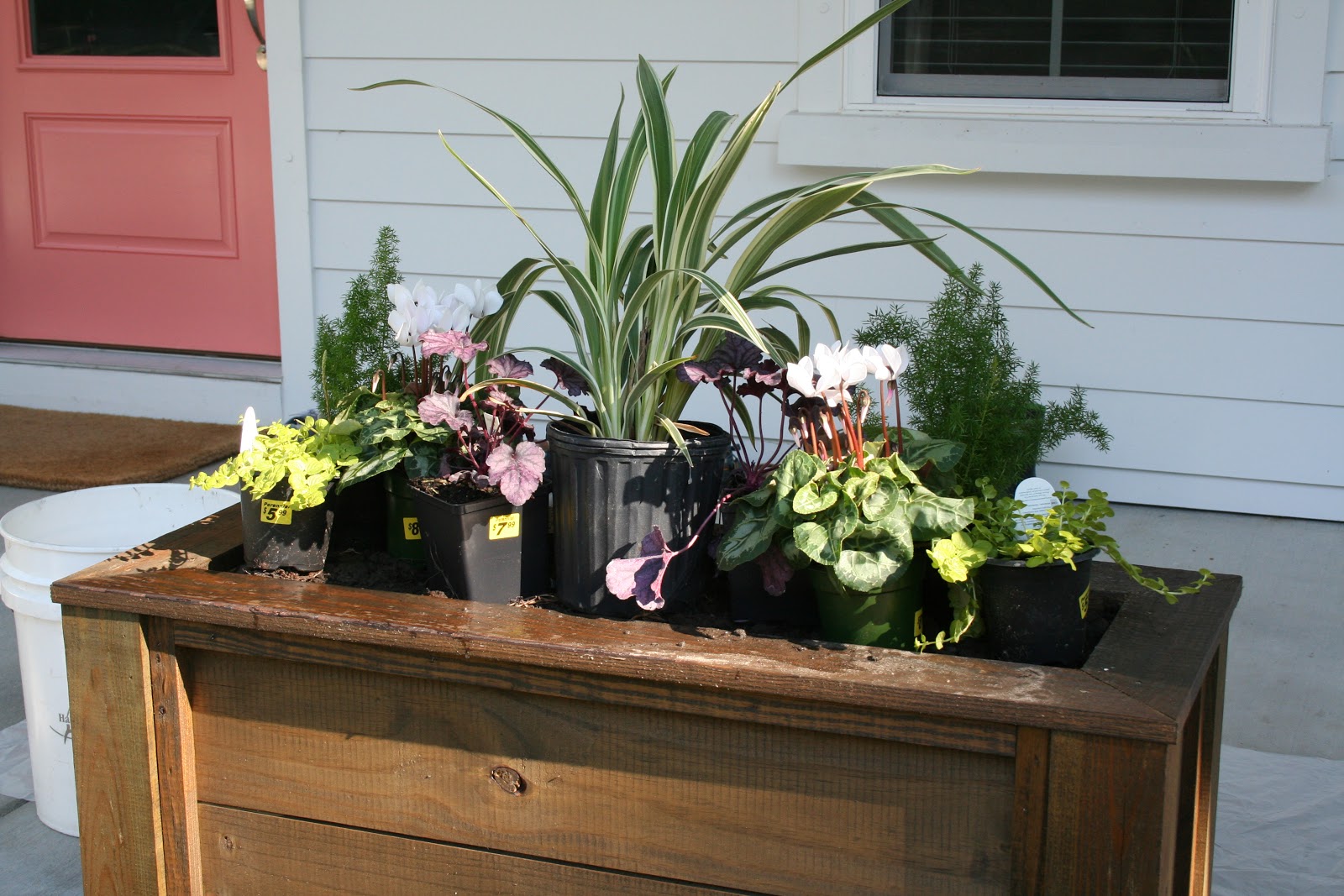 The Lowcountry Lady: Fall Winter Front Porch Flower Boxes