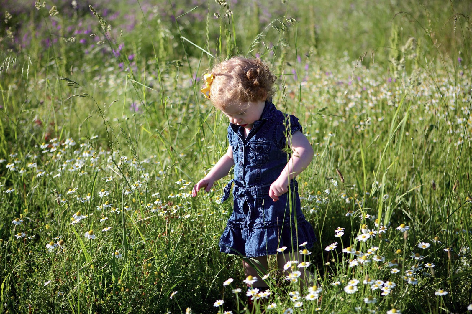 Arrows In Our Hand Where Are We Going To The Tallest Grass arrows-in-our-hand-where-are-we-going-to-the-tallest-grass