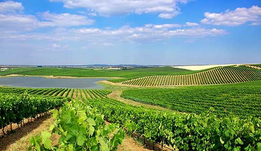 Atlantic Opportunity: Agriculture In Portugal