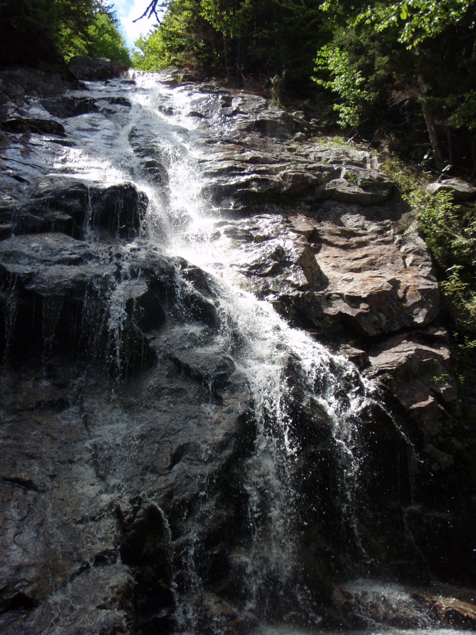 Matt's Hikes: Mount Nancy - June 16, 2012