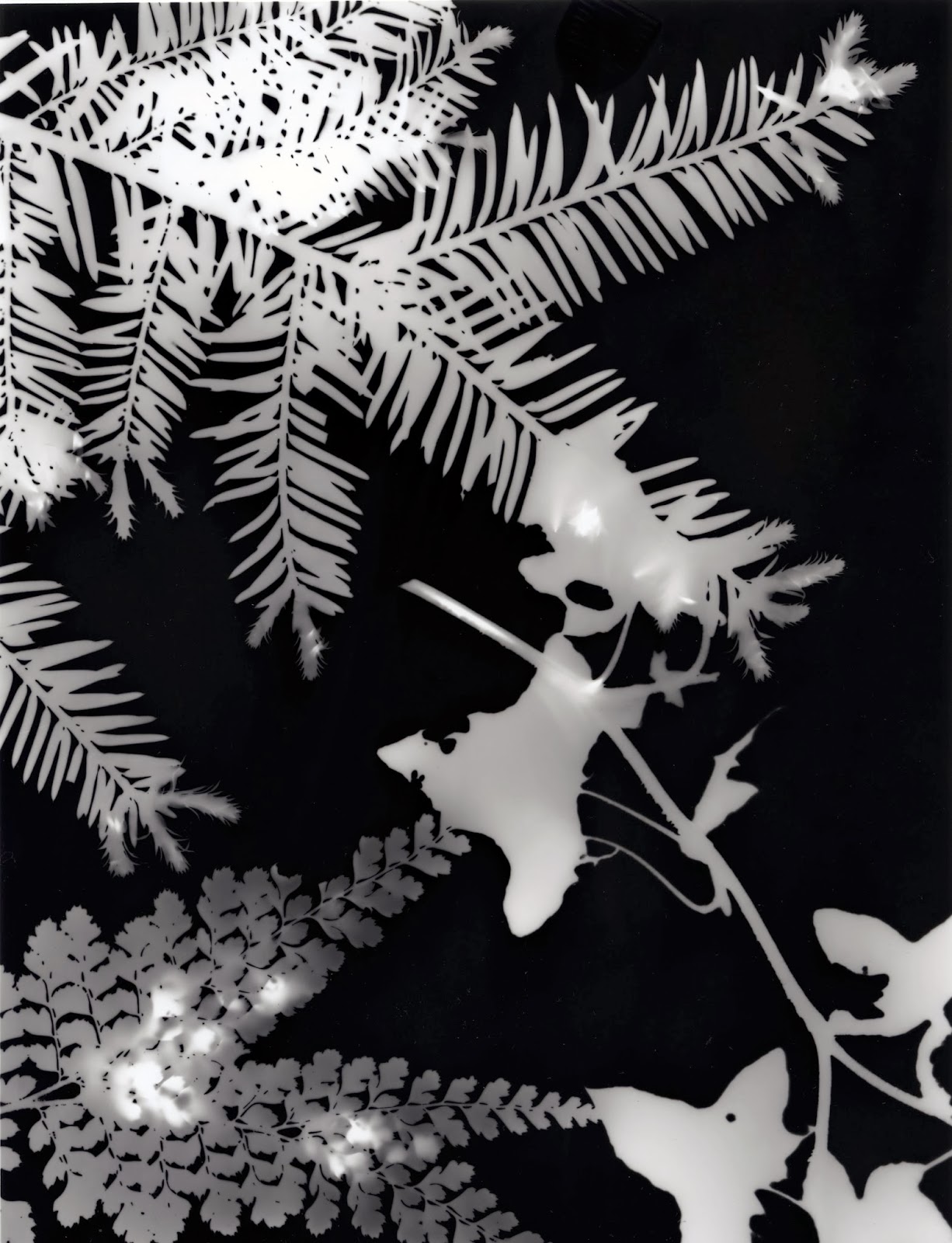 De blik van de fotograaf - fotoprojecten voor het basis en ...