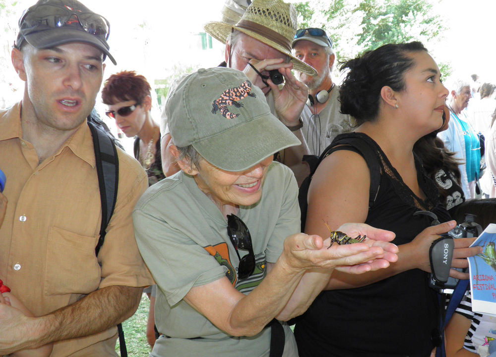 Arizona: Beetles, Bugs, Birds and more: 2011 ARIZONA INSECT FESTIVAL