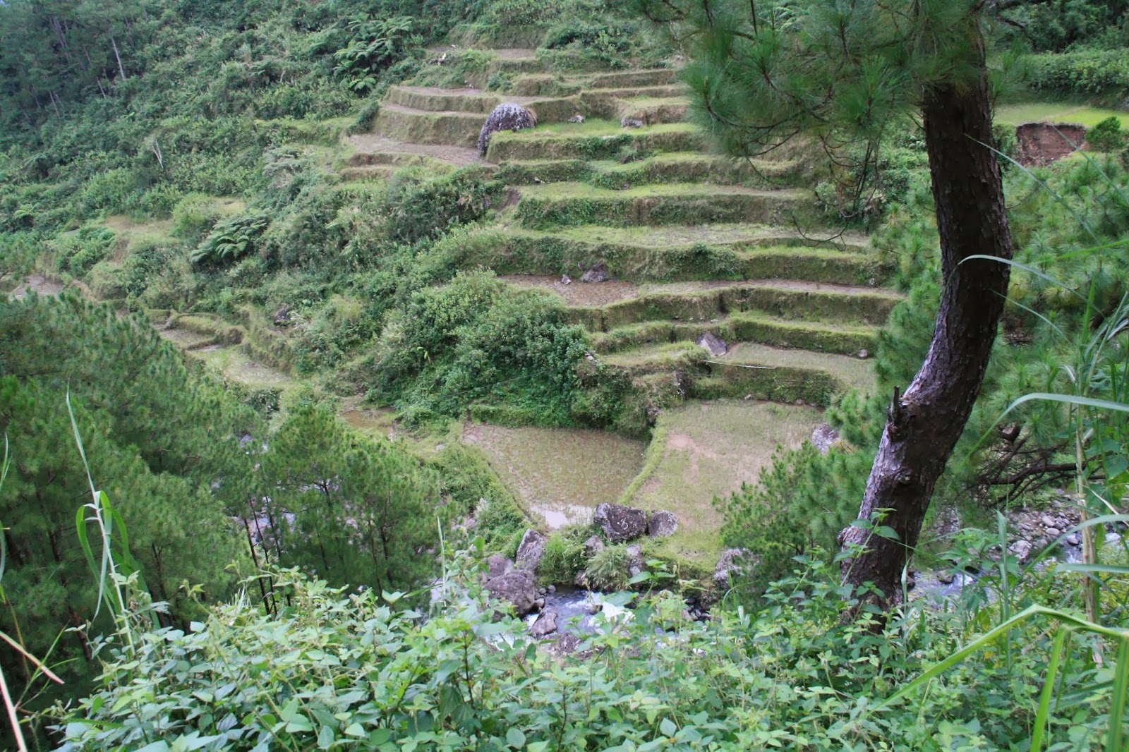 THE NOMAD TRAVELS : GUIDE TO SAGADA