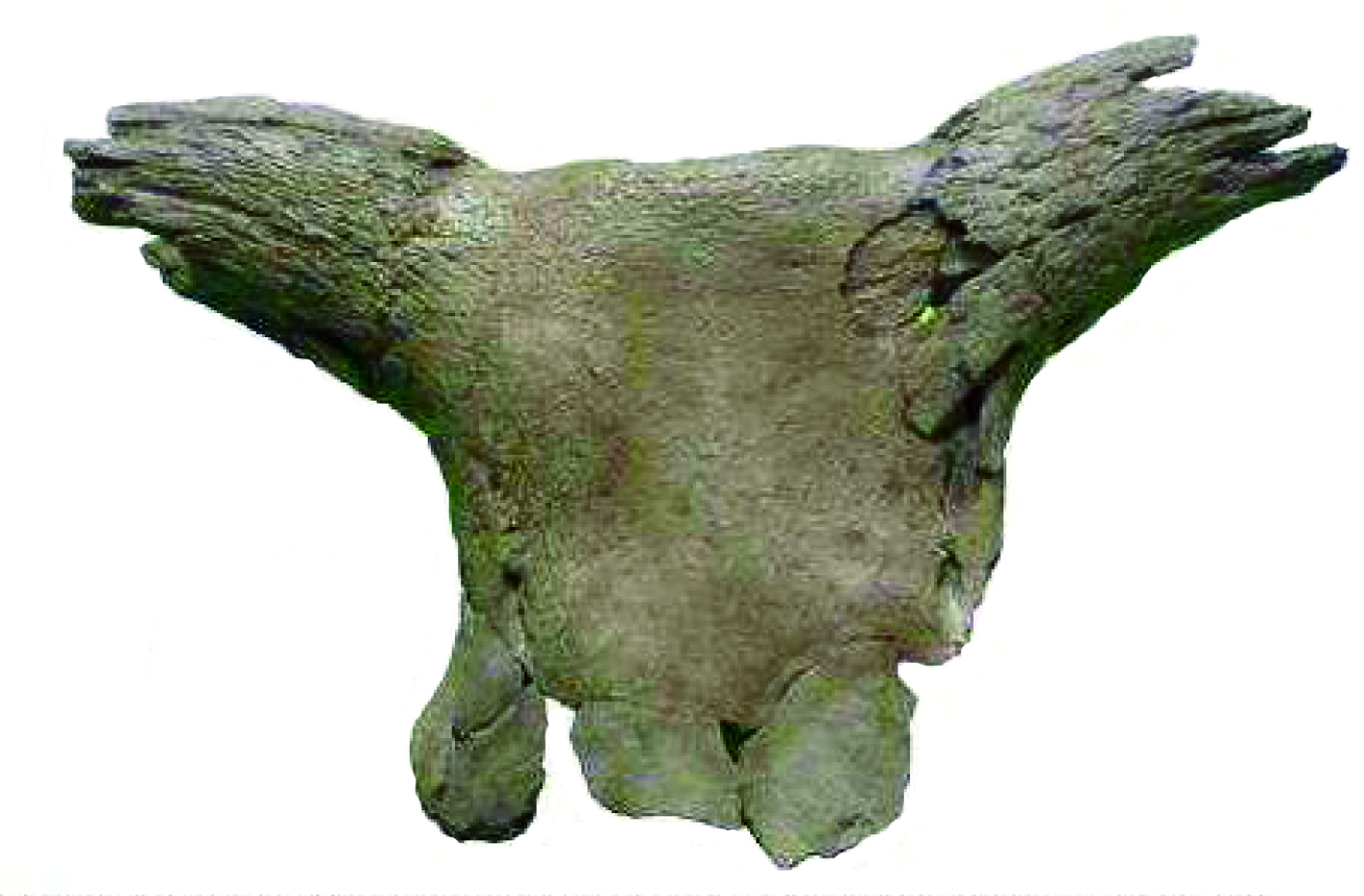 Sierra Sálvada: Uros de la sima Txiripí