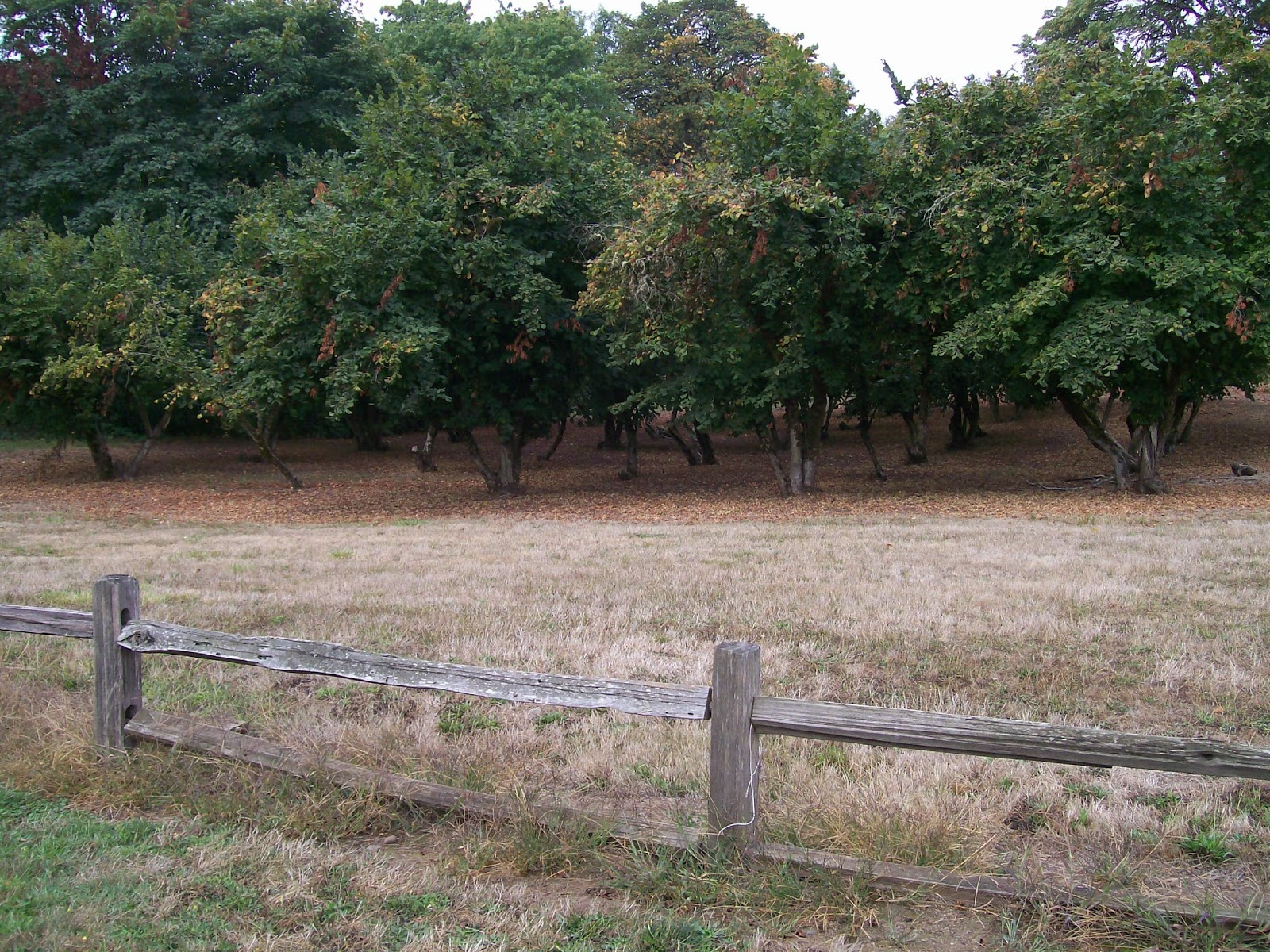 ALHFAM Western Region Conference 2016 | Beth's Bobbins