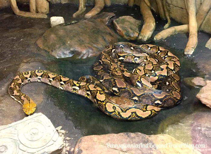 Pennsylvania & Beyond Travel Blog: Educational Fun at Clyde Peeling's ...