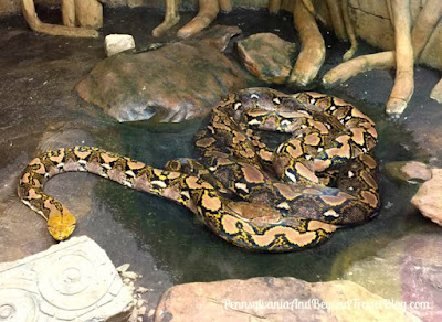 Pennsylvania & Beyond Travel Blog: Educational Fun at Clyde Peeling's ...