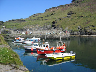 Boscastle ~ Cliffs & Canyon