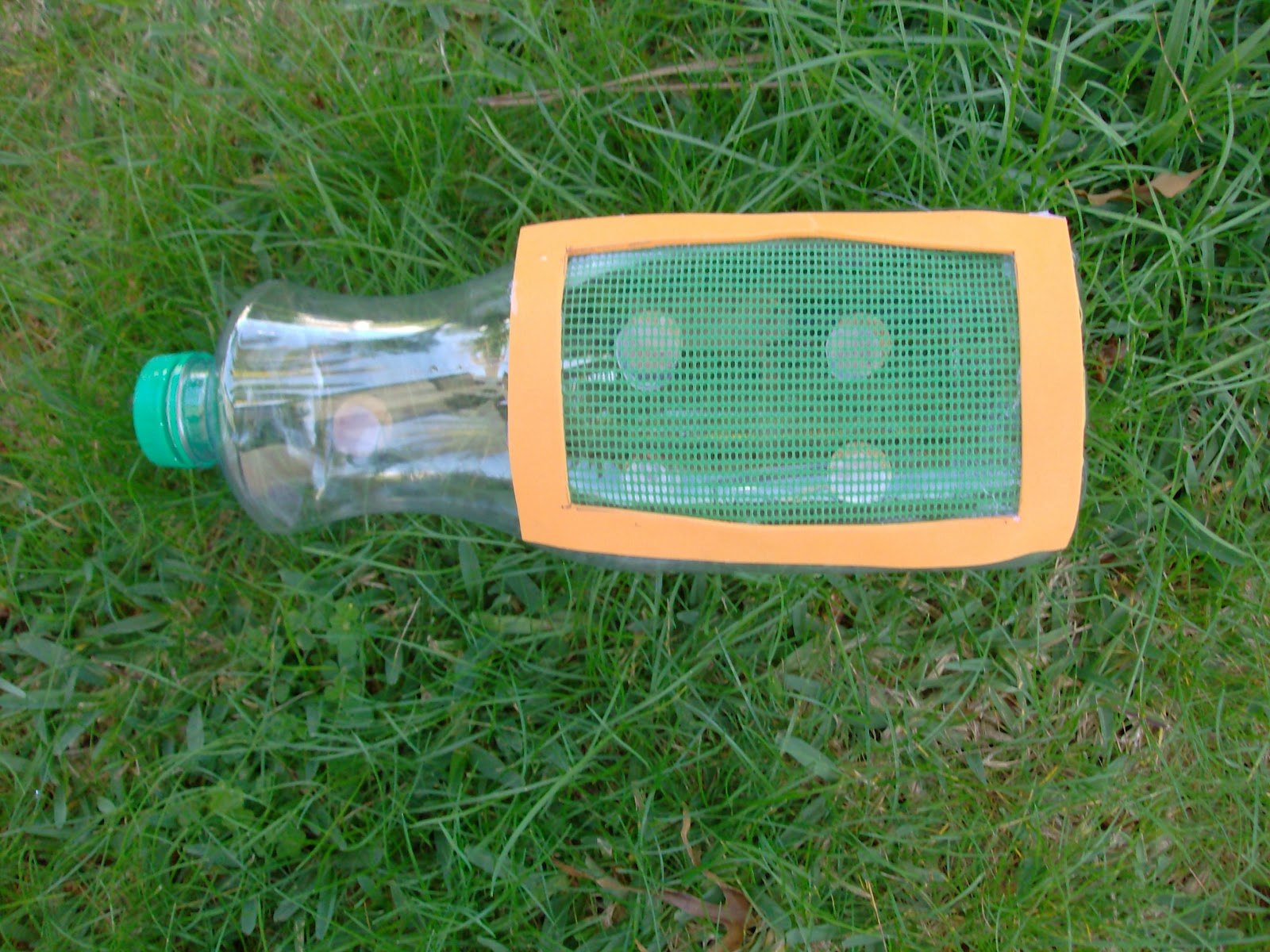 Reuse Crafts: Plastic Bottle Bug Carrier