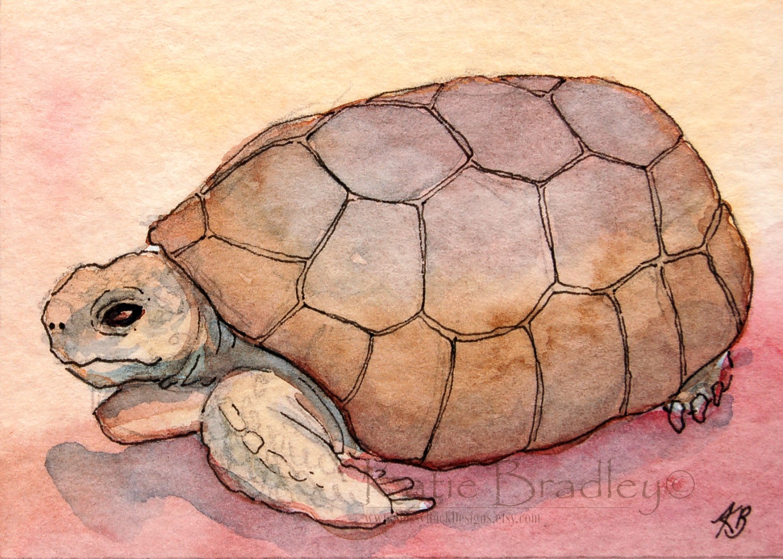 Tortaddiction: New Tortoise Paintings in my Etsy shop!