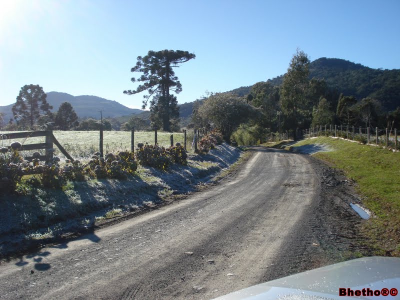 LeãoBaioMotorClub: IMAGENS DO INVERNO LAGEANO - GEADA (LAGES - SC -BRASIL)