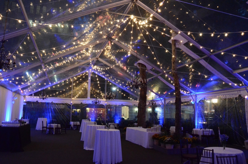 Universal Light and Sound: String Lights under South Garden Tent - The ...