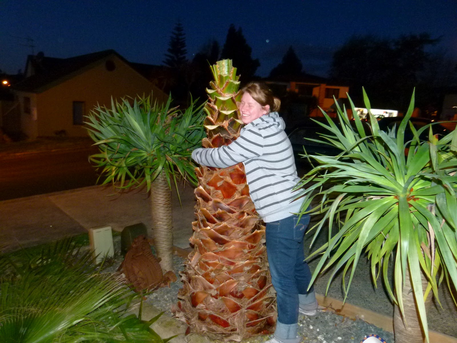 DIET COKE ROCKS: FROGS AND BYE BYE PALM TREE