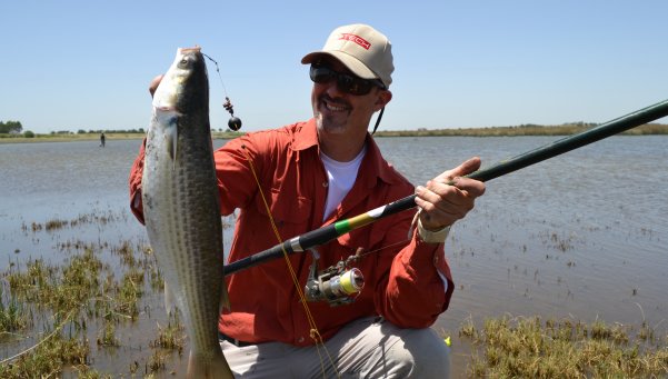 Claves para no fallar en la pesca de las esquivas lisas | Solo Pesca ...