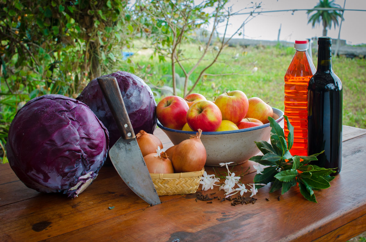 Col lombarda con manzana - a la alemana - Red de Semillas de La Palma