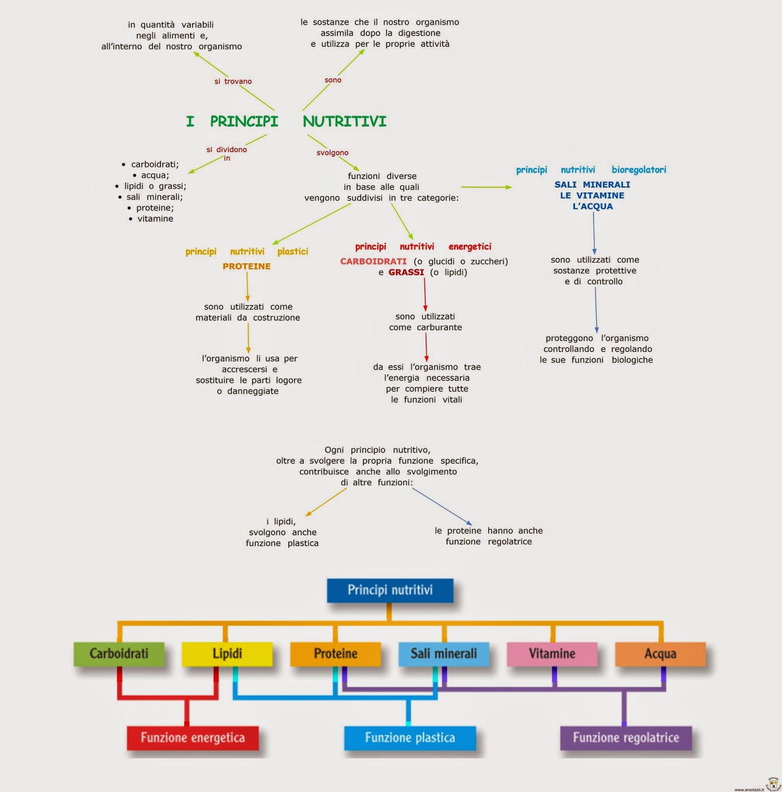 Paradiso delle mappe: I principi nutritivi