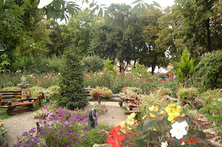 Asigura-te ca esti fericit!: Parcul din Tecuci