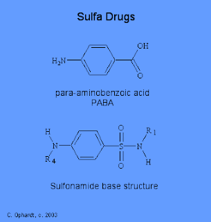 PHARMACOLOGY: Sulfa Drugs