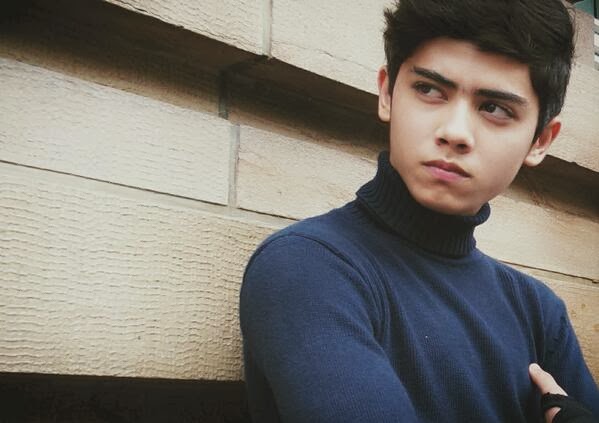 kumpulan coretan kecil: BIODATA ALI SYARIEF (ALIANDO)