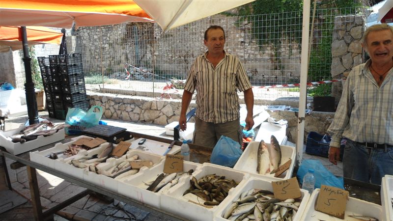 Κατούνα Νέα Ειδήσεις: Η ΛΑΙΚΗ ΑΓΟΡΑ ΣΤΗΝ ΑΜΦΙΛΟΧΙΑ ΚΑΙ ΤΑ ΦΡΕΣΚΑ ΨΑΡΙΑ ...