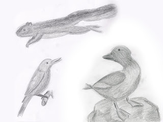 Observational Drawing 2